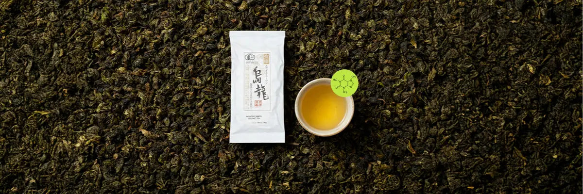 Oolong Tea Caffeine: How Much Is in Your Cup? – Nio Teas